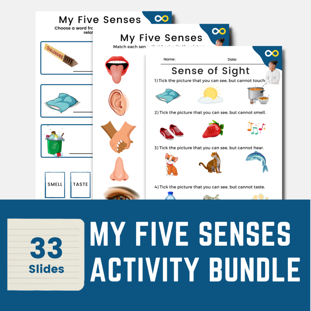 My Five Senses Worksheets with Classroom Poster