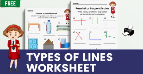 Identifying Types of Lines Worksheets