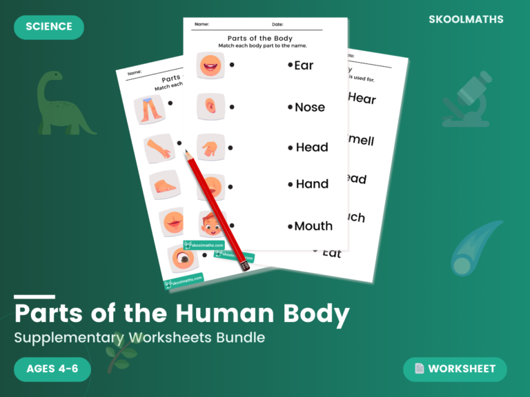 My Five Senses Worksheets with Classroom Poster