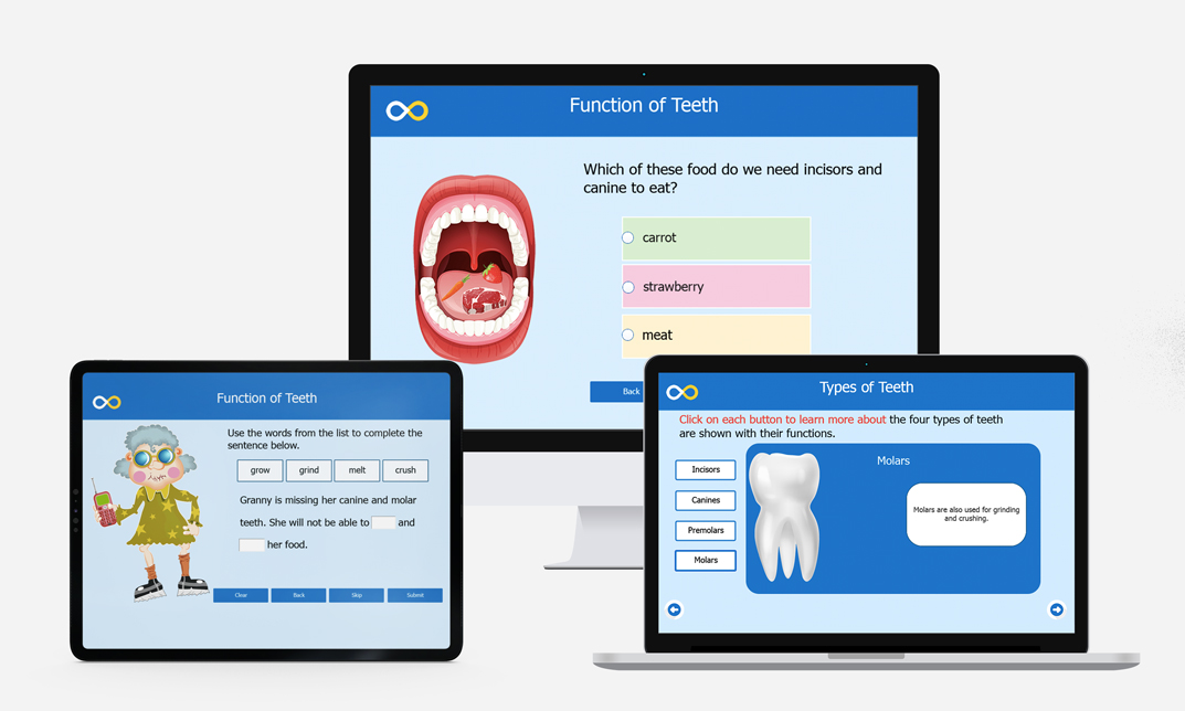 Teeth and Their Functions