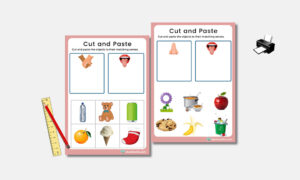 My Five Senses – Cut and paste