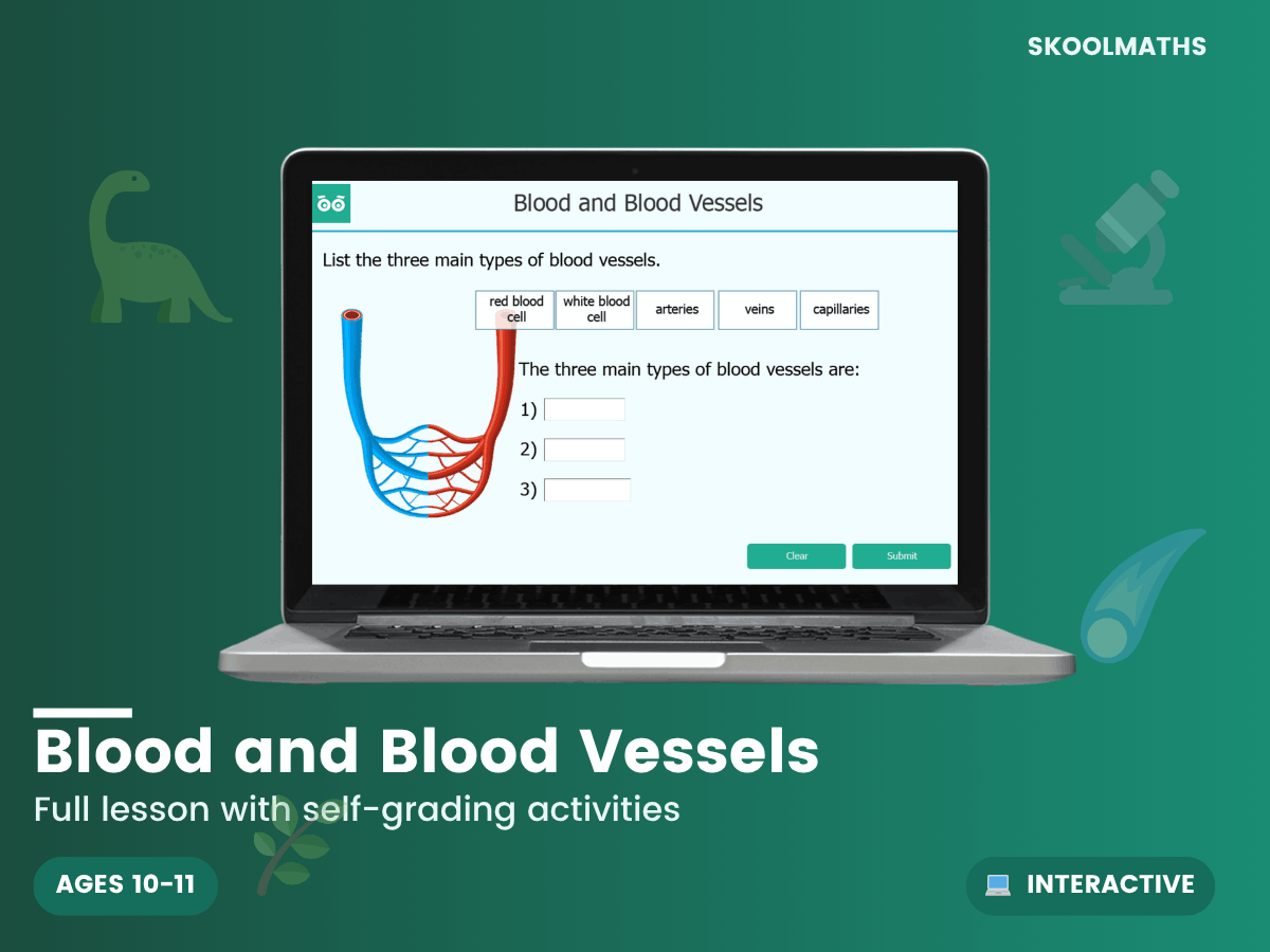 Blood and Blood Vessels – Maths, Science & English Teaching Resources ...