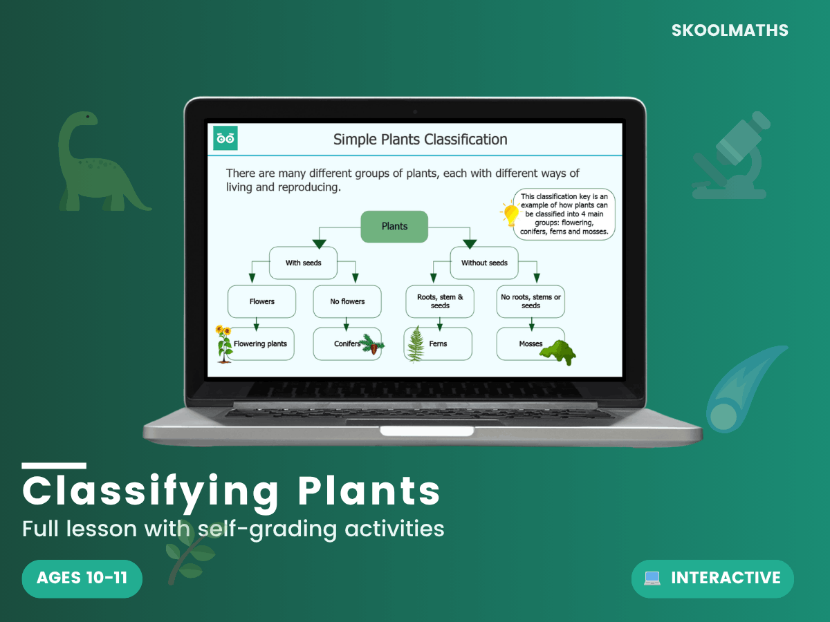Classifying Plants — Interactive Lesson (Ages 10–11) – Maths, Science ...
