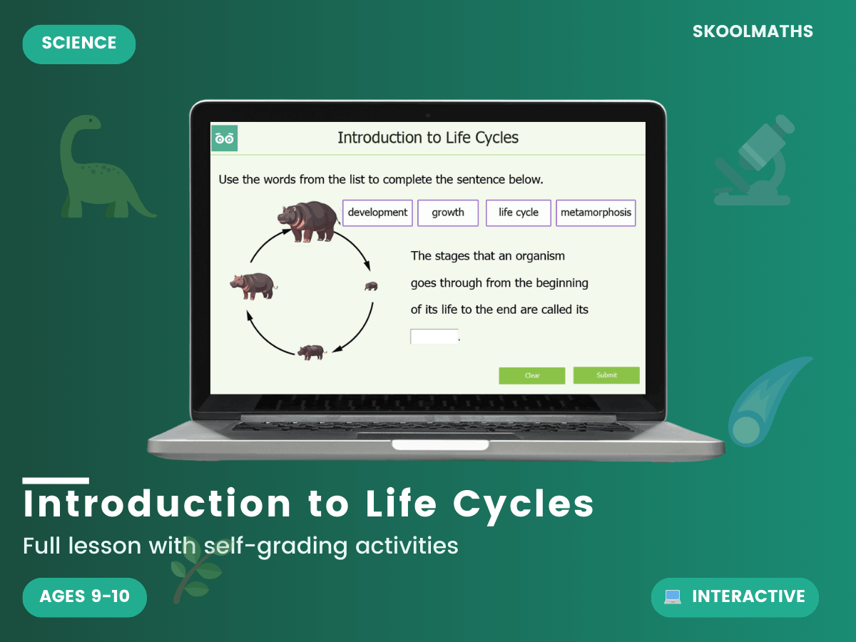 Introduction To Life Cycles — Interactive Lesson (Ages 9–10) – Maths ...