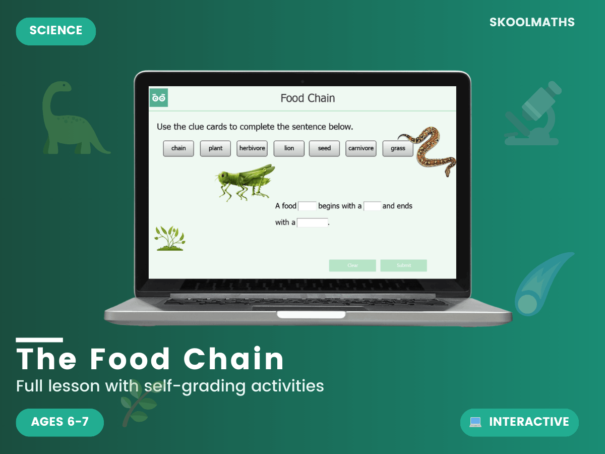 Food Chains — Interactive Lesson (Ages 6–7) – Maths, Science & English ...