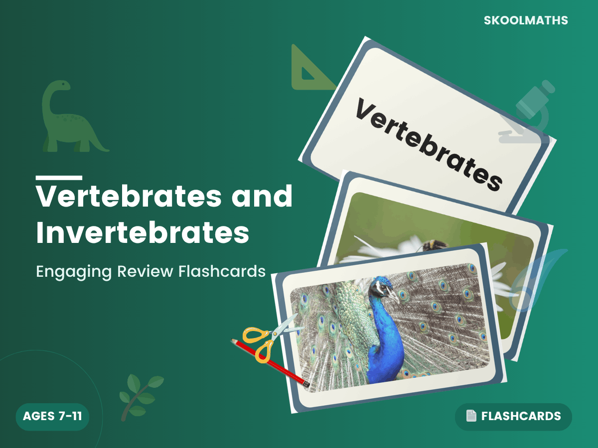 Vertebrates And Invertebrates Flashcards: Animal — Activities (Ages 7 ...