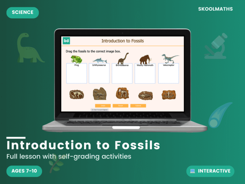 Introduction To Fossils — Interactive Lesson (Ages 7–8) – Maths ...
