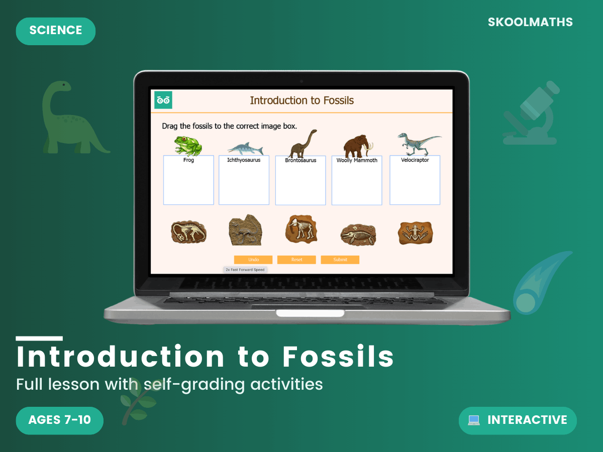 Introduction To Fossils — Interactive Lesson (Ages 7–8) – Maths ...